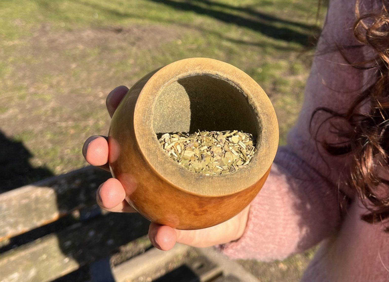 Cómo empezar con el mate: guía completa y consejos